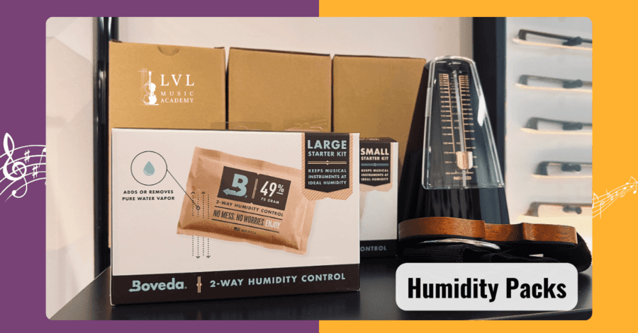 Must-Have Violin Accessories for Every Player | LVL Music Academy